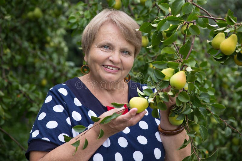 Pensioner Woman Under Pear Tree Stock Image - Image of roasted, potato ...