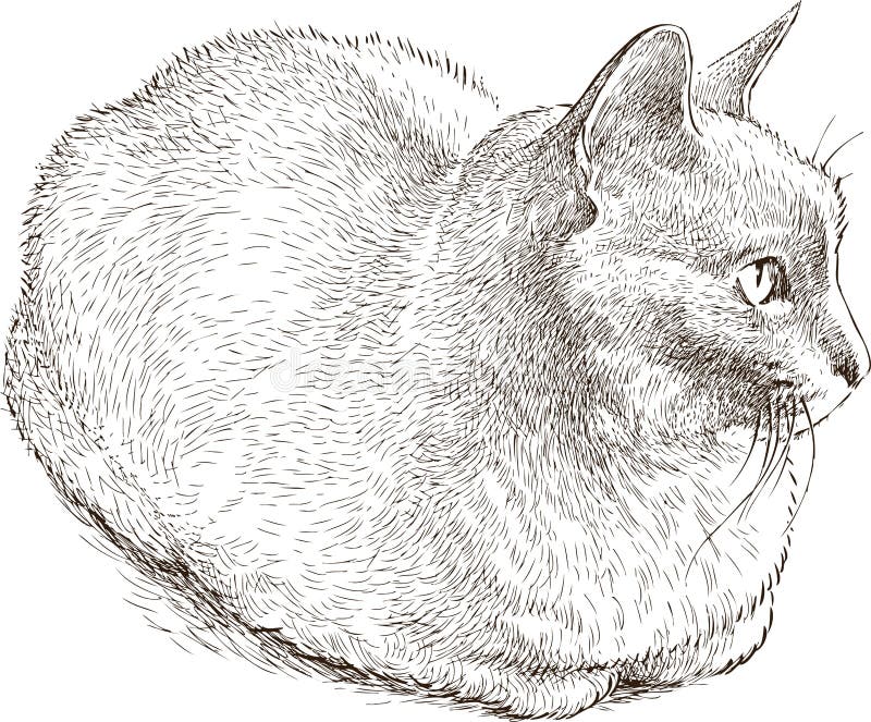 Pensive housecat stock vector. Illustration of drawing - 53828824