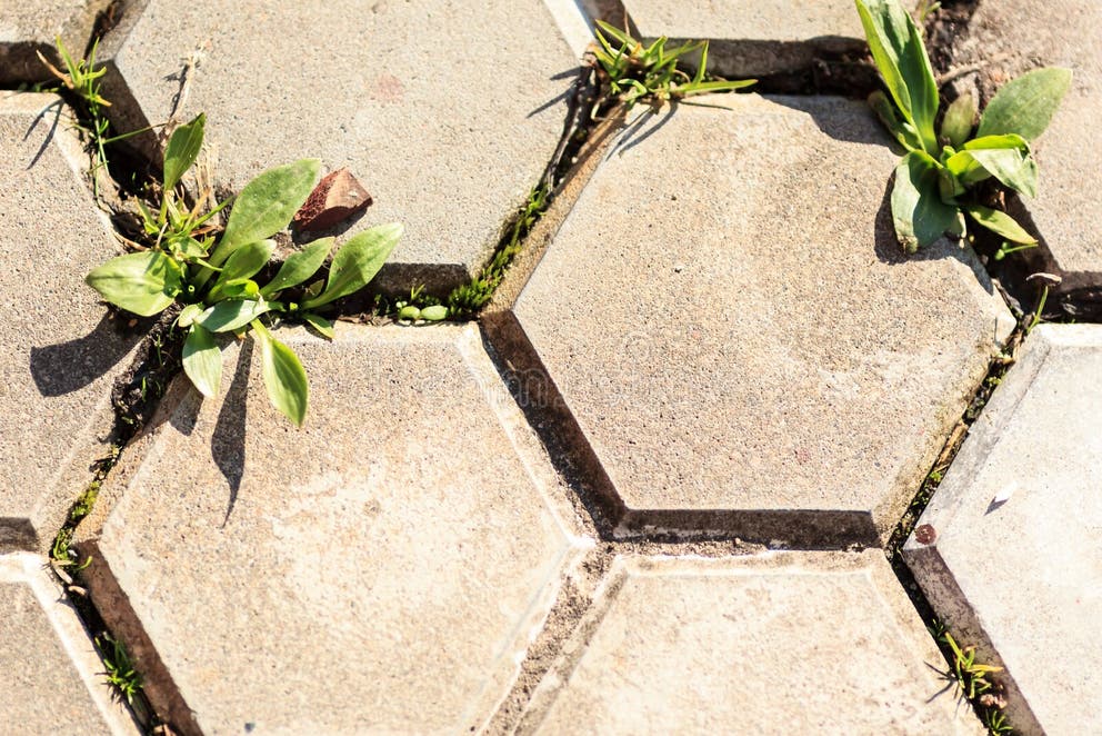 Pentagon tiles pavement stock image. Image of floor, causeway - 74130391