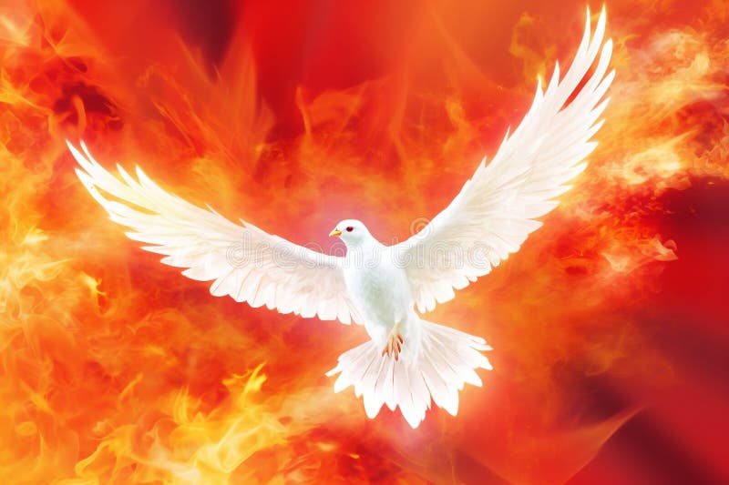 Pentecost Dove Background
