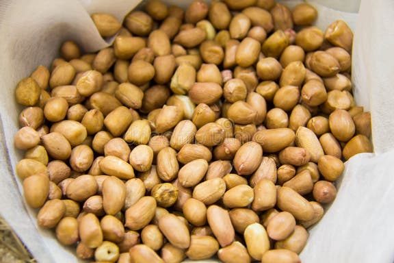 Penut Tree Stock Photos - Free & Royalty-Free Stock Photos from Dreamstime