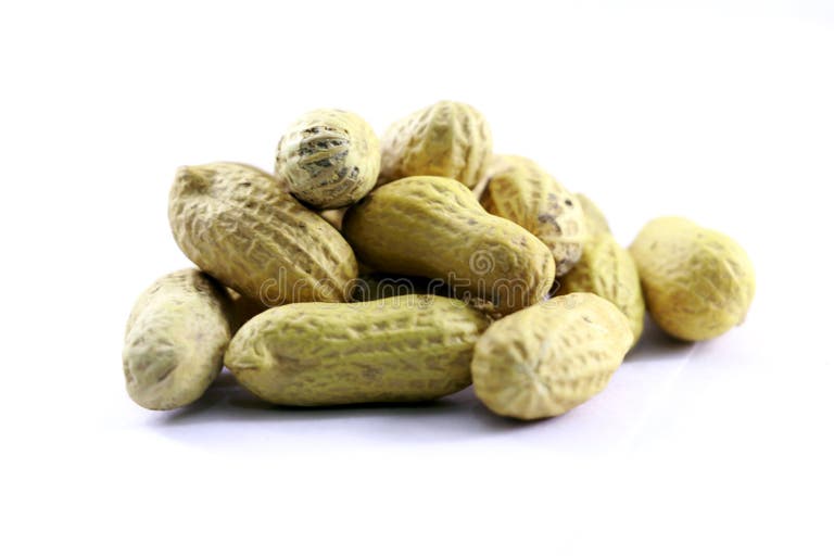 166 Mungfali Boys Stock Photos - Free & Royalty-Free Stock Photos from ...