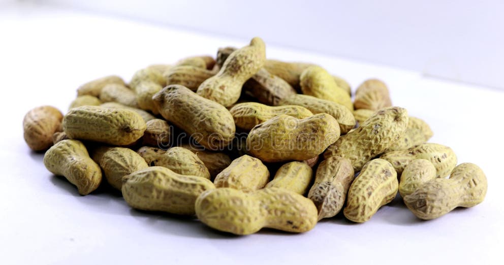 166 Mungfali Stock Photos - Free & Royalty-Free Stock Photos from ...