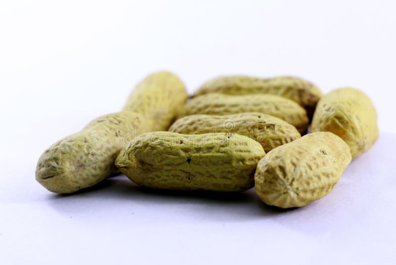 164 Mungfali Stock Photos - Free & Royalty-Free Stock Photos from ...