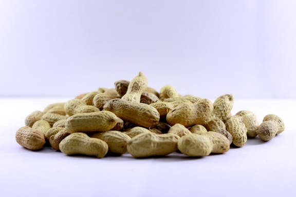 166 Mungfali Boys Stock Photos - Free & Royalty-Free Stock Photos from ...