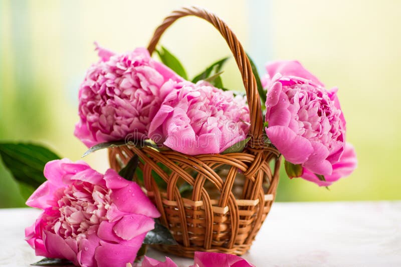 Easter table arrangement stock photo. Image of bloom - 22816668