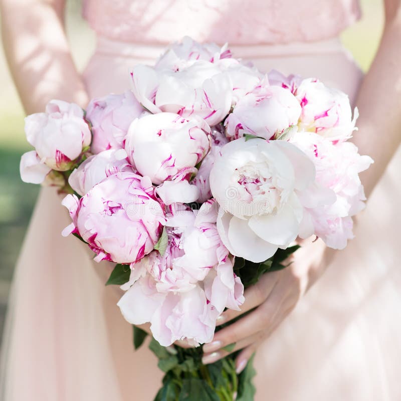 Peonies in Hands, Spring Flowers. Nature Stock Image - Image of nature ...