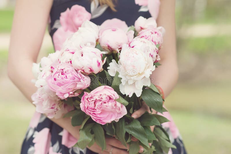 Peonies in Hands, Spring Flowers. Nature Stock Photo - Image of blossom ...