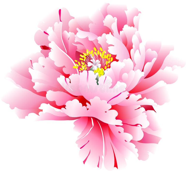 Simple Peony Stock Illustrations – 10,461 Simple Peony Stock ...