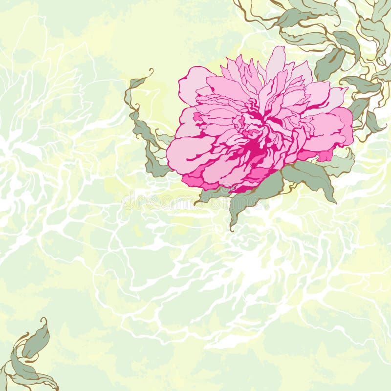 Peony stock vector. Illustration of ornate, nature, leaf - 5647051
