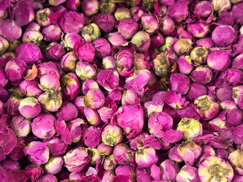 Peony Bud Tea stock image. Image of china, beauty, organic - 359321367