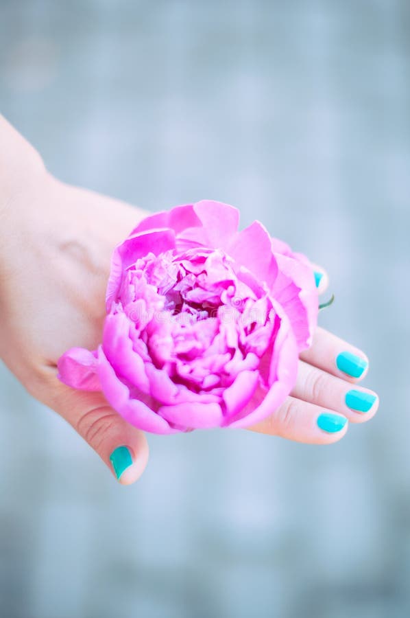 Peony hand stock photo. Image of peony, happy, outdoors - 56115200