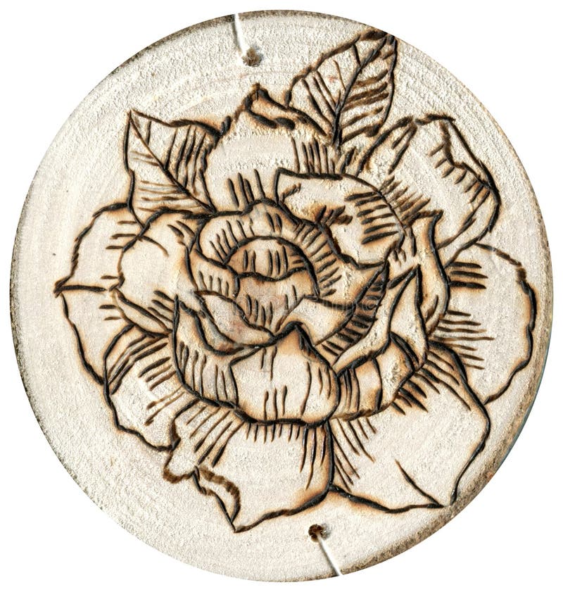 Peony Line Art pyrography. stock illustration. Illustration of blossom ...