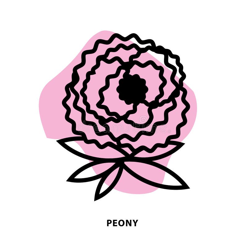 Peony Linear Icon Design for Application or Web Design Template. Vector ...