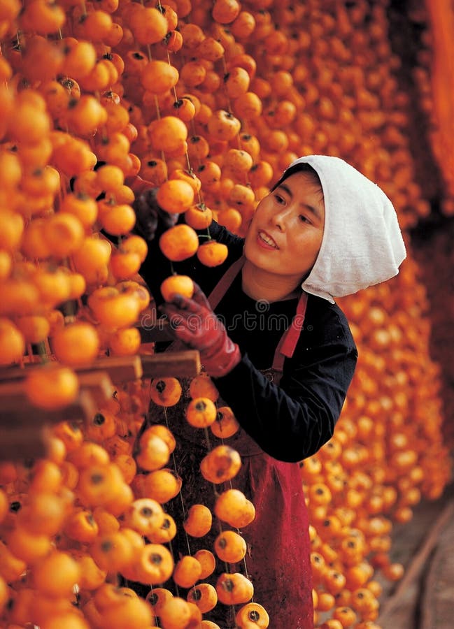 People stock image. Image of laughing, asian, head, smiling - 81536291