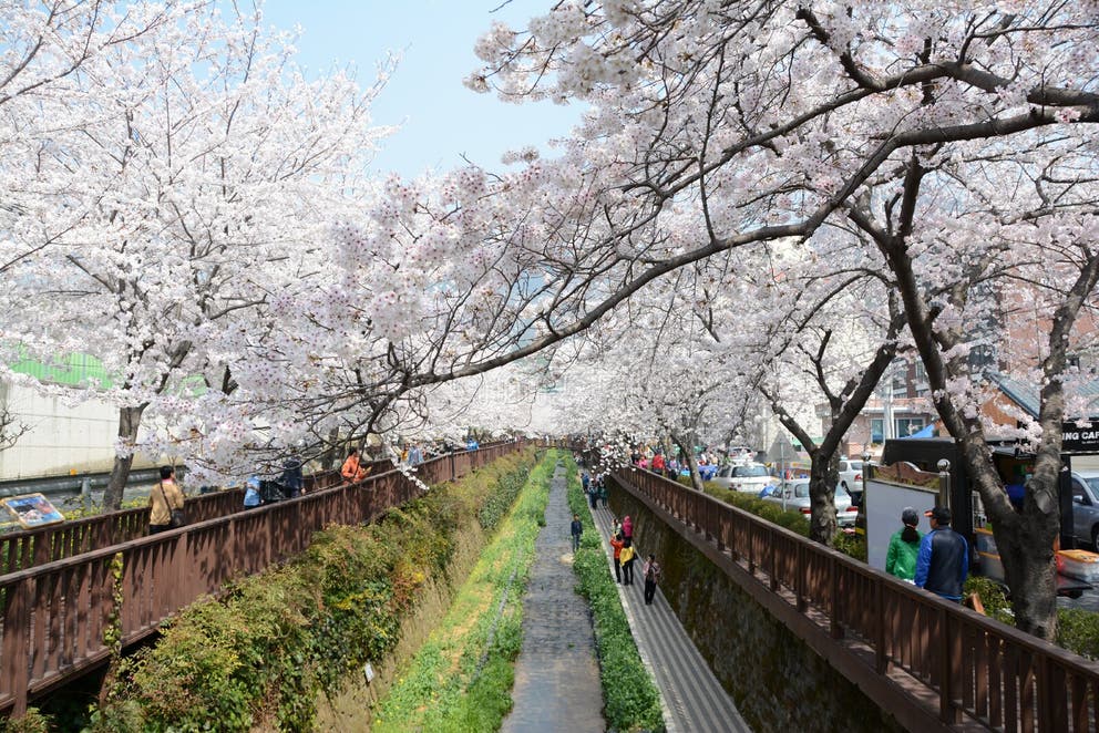 People editorial image. Image of spring, landscapes, ethnicity - 81583685