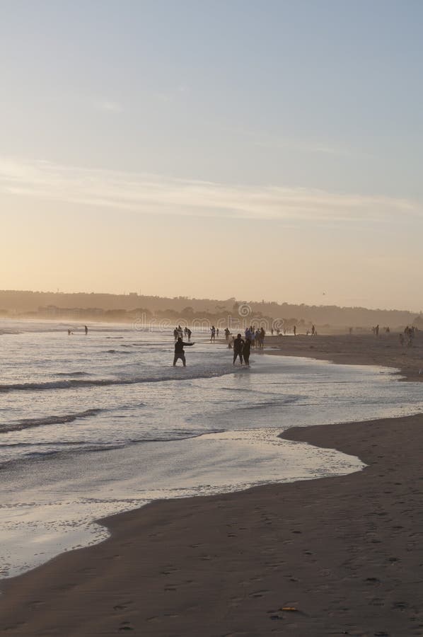People on the Beach in Coronado Beach in San Diego California Stock ...