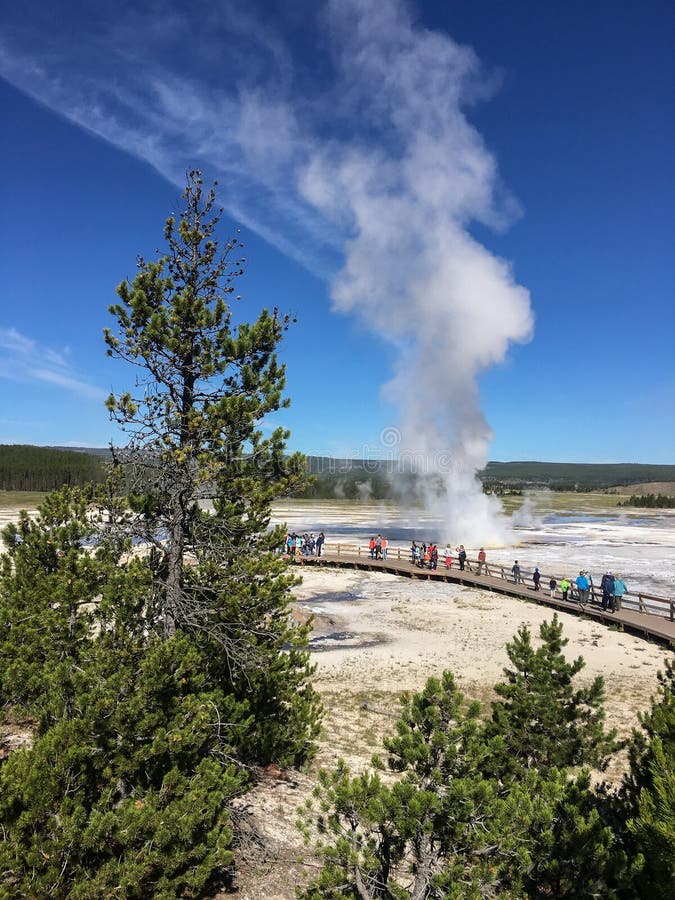 Boardwalk in Yellowstone National Park Stock Image - Image of natural ...