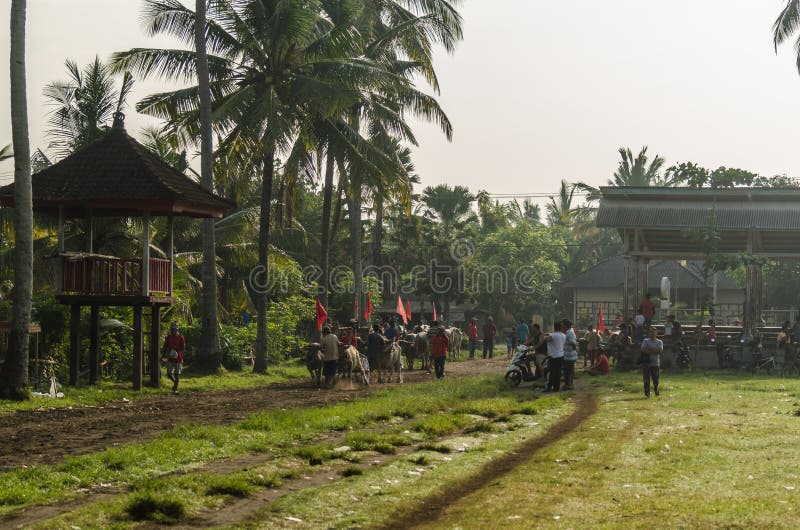 Red Bull Air Race editorial photo. Image of competition - 10591776
