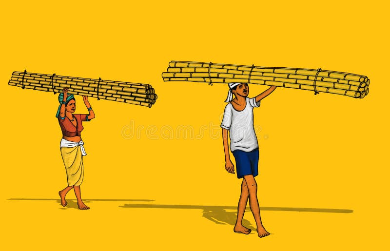 People Are Carrying Bamboo On Head Stock Illustration Illustration Of