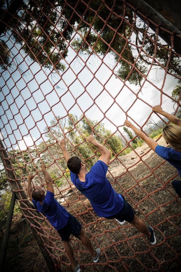 People Climbing a Net during Obstacle Course Stock Image - Image of ...