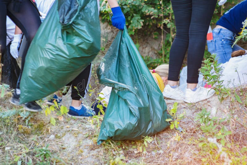 People Collect Garbage in Large Plastic Bags Stock Photo - Image of ...