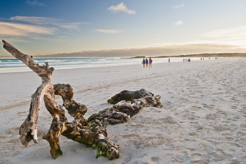 Cocos Island waterfall stock image. Image of waterfall - 14221447