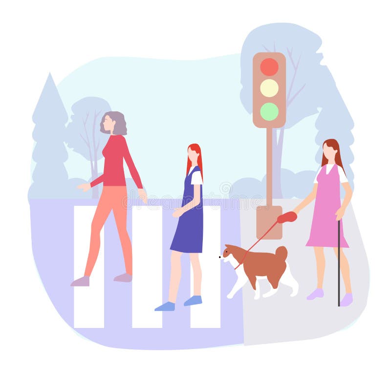 People Cross the Road at a Pedestrian Crossing, Vector Chart Stock ...