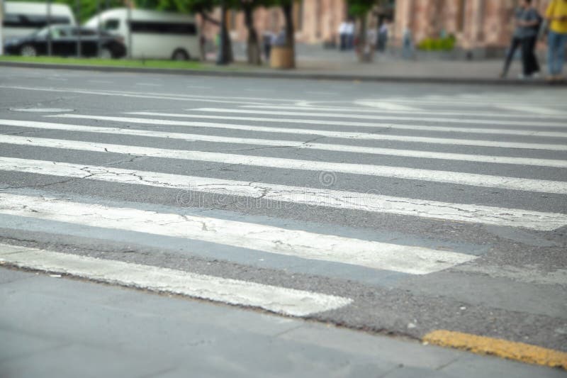 People Crossing the Zebra on the Road Stock Image - Image of crosswalk ...