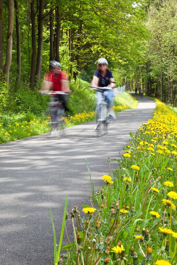People Cycling through Countryside Stock Photo - Image of friendship ...