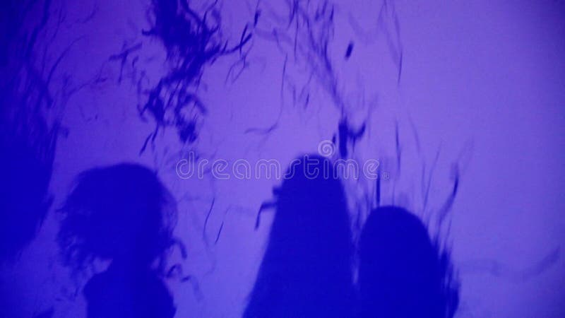 People Dancing at the Party Shadows Stock Footage - Video of male ...