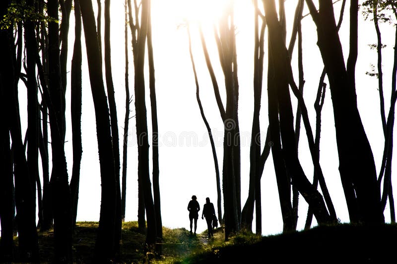People in the Dark Mysterious Forest. Stock Photo - Image of family ...