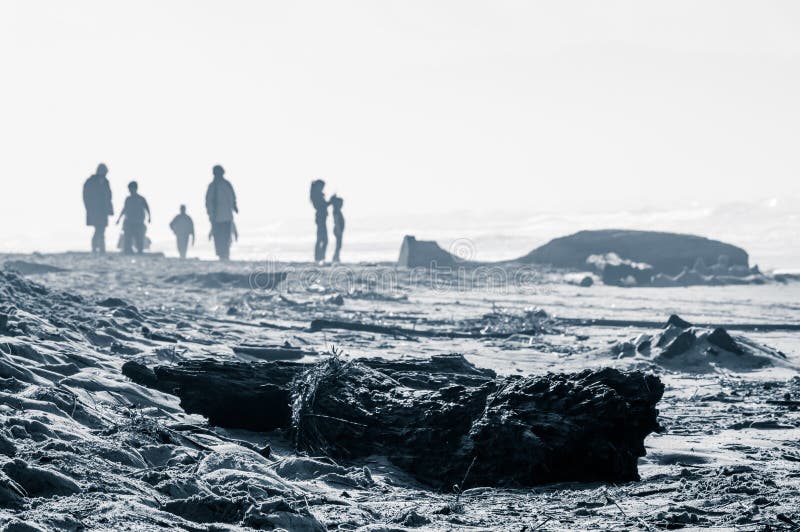 People on Desolate Windy Beach Stock Image - Image of wind, natural ...