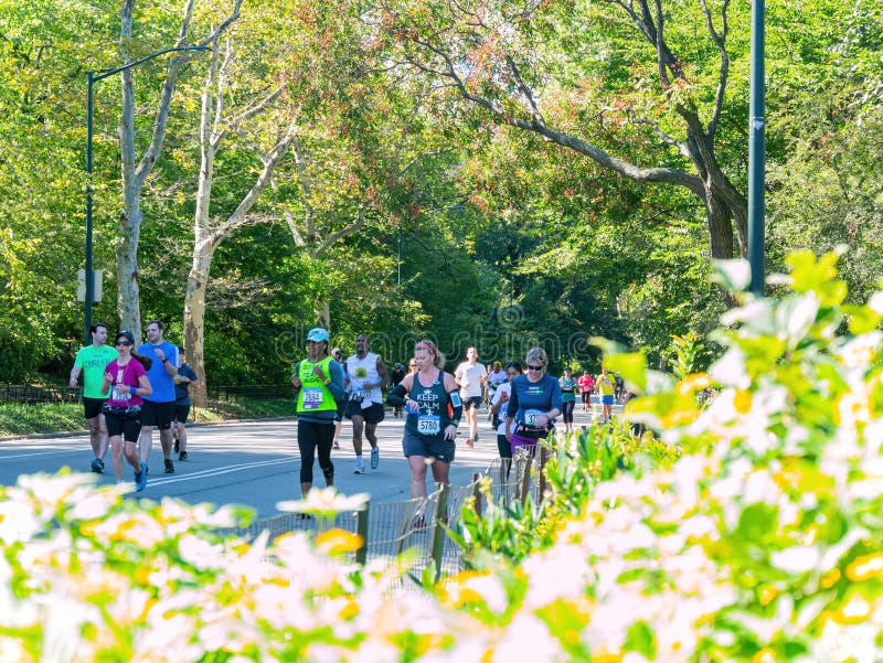 People Doing Exercise in the Central Park Editorial Stock Photo - Image ...