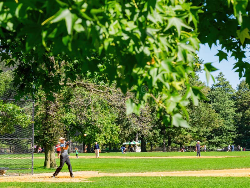 People Doing Exercise in the Central Park Editorial Stock Image - Image ...