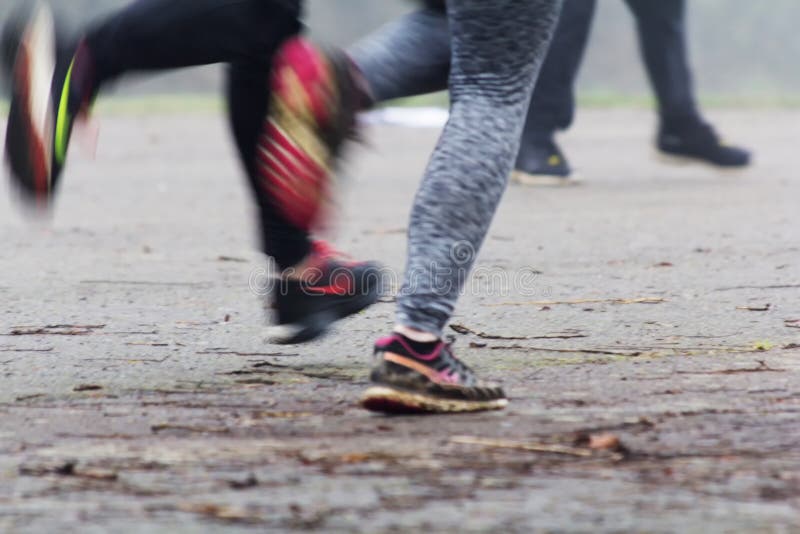 People Doing Keep Fit Exercise in Park Stock Photo - Image of exercise ...