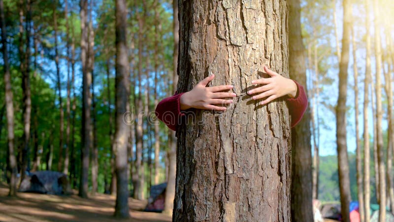 People are Embracing the Concept of Preserving Trees and Nature, the ...