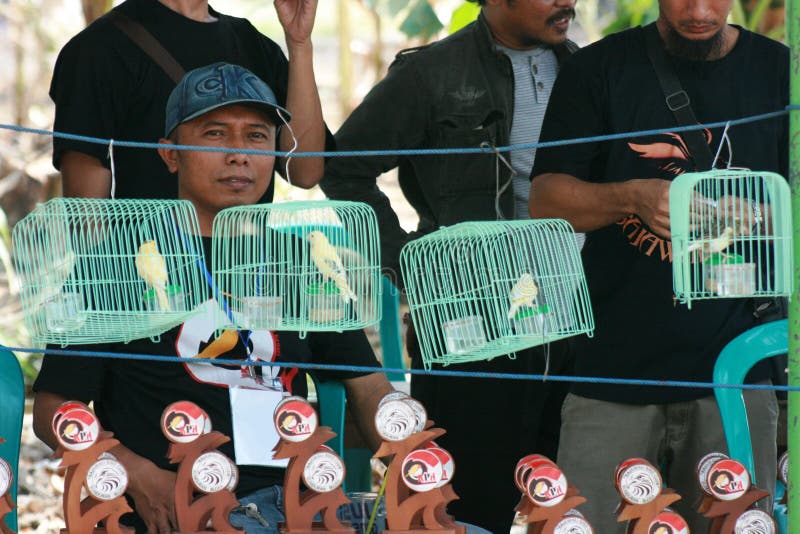 Bird call contest editorial photo. Image of call, gesture - 44140086