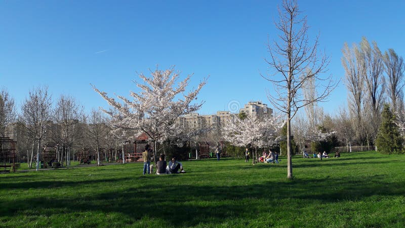 People enjoying spring editorial stock photo. Image of parcul - 101727243