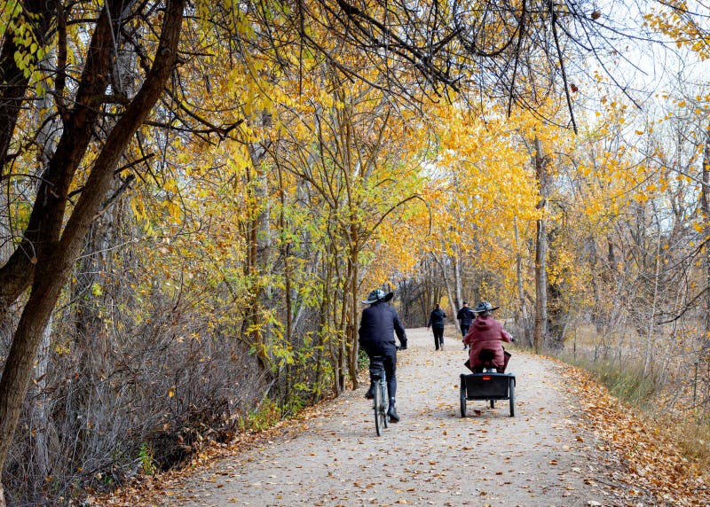 People Exercising on a Footpath in Autumn Editorial Photo - Image of ...