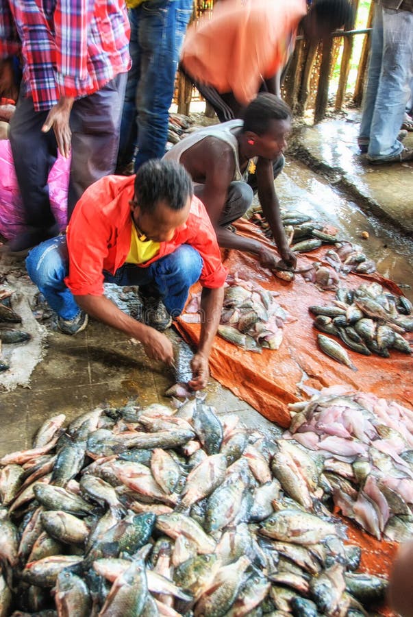 People on the Fish Market in Awassa, Ethiopia Editorial Photography ...