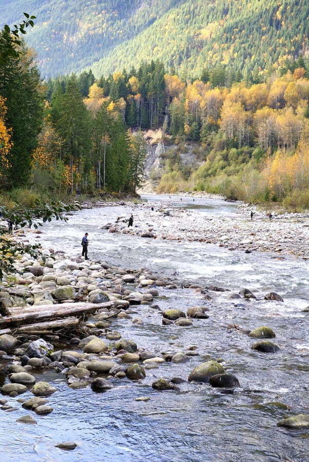 People Fishing on Chilliwack River Stock Photo - Image of leaf, creek ...
