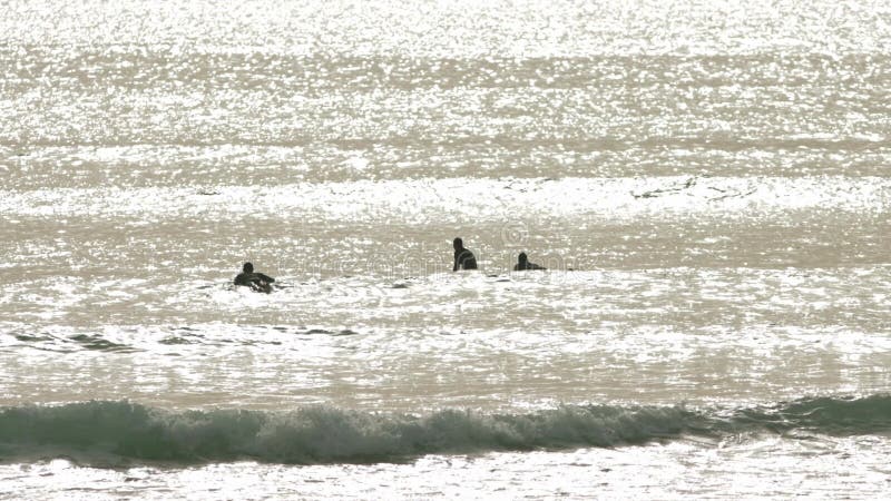People Float on the Waves on Surfboards Stock Footage - Video of sunset ...