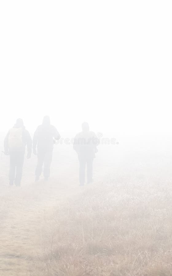 People in Fog are Walking Across the Field. Fog on the Field Stock ...