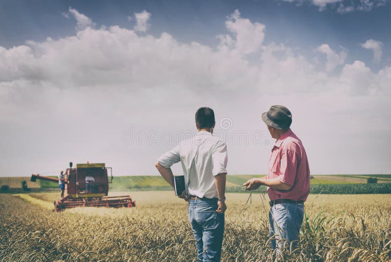 People at harvest stock photo. Image of barley, farming - 150260470
