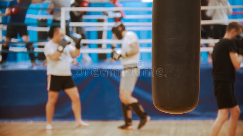 People Having a Boxing Training on the Ring Stock Image - Image of ...