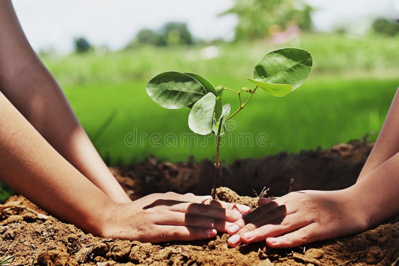 People Helping Planting Tree in Nature for Save Earth. Environment Eco ...