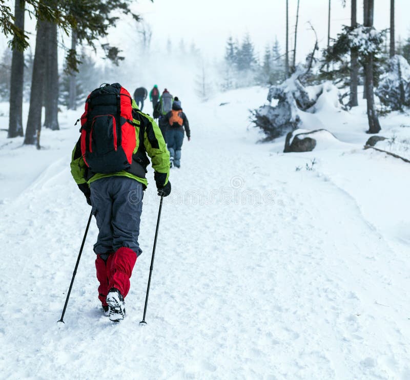 People Hiking on Snow Trail in Winter Stock Image - Image of adventure ...