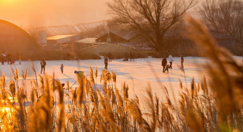 People Ice Skating on Frozen Lake during Sunset Stock Image - Image of ...