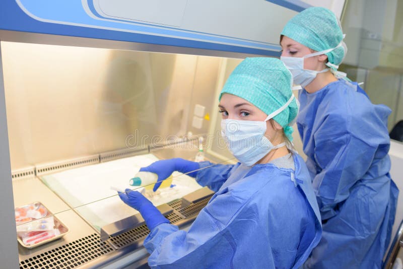 People in lab stock photo. Image of hygiene, mask, looking - 164146170